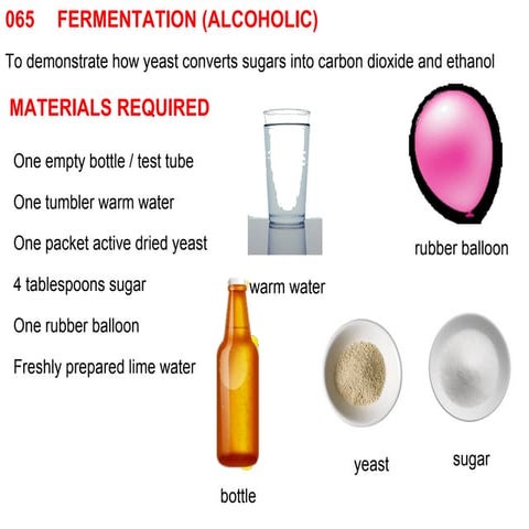 065 fermentation (alcoholic) | PPT