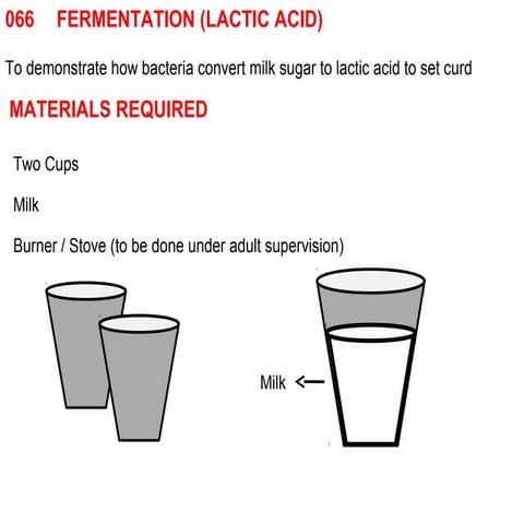 066 fermentation (lactic acid) | PPT