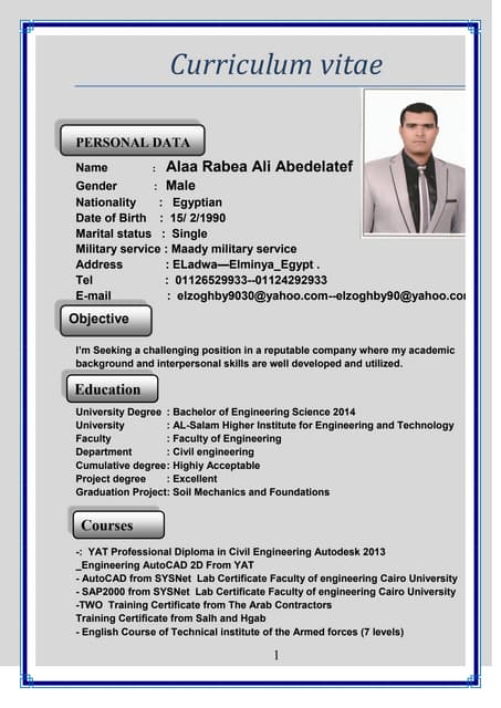 Maged cv(2) | DOCX
