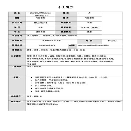 CV Nikheel Chinese | DOC