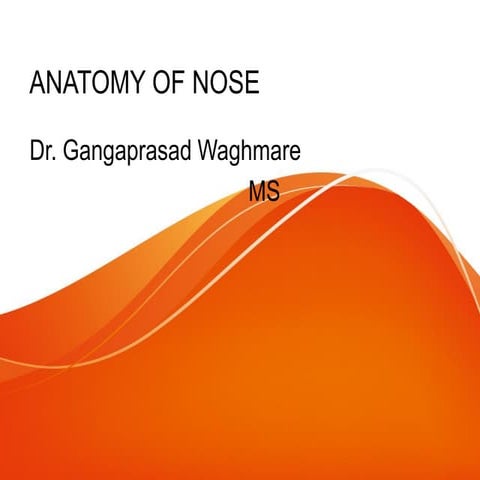 ANATOMY OF NOSE | PDF