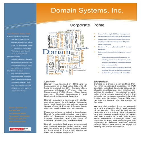 2012 Domain Company Profile PACKET | PDF