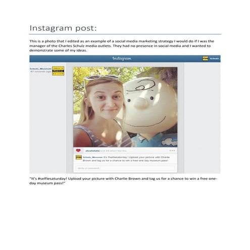 EXAMPLE OF INSTAGRAM POST | PDF