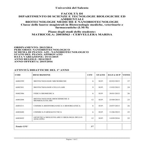 Master's degree study plan | PDF