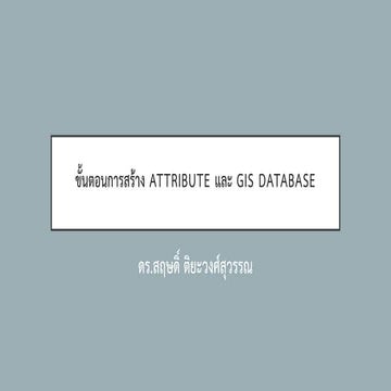 06 attribute | PDF