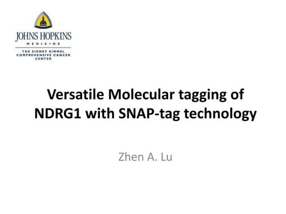 Extra pathway and cross talk | PPT