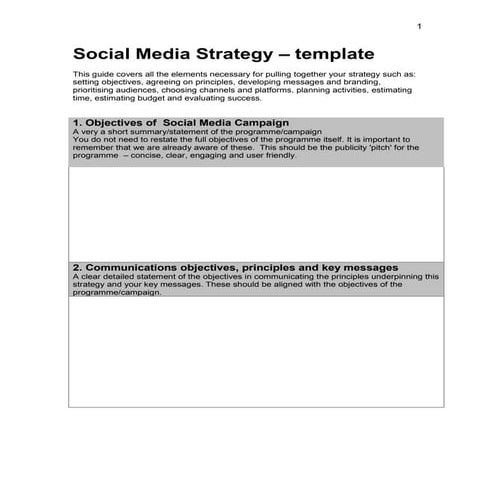 06c.Social media strategy template | PDF