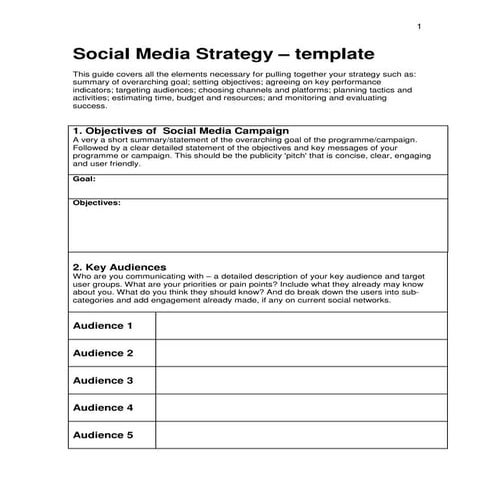 06c.Social Media strategy template | PDF