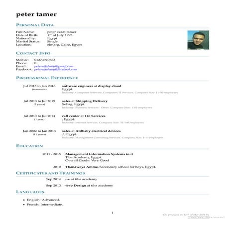 cv_peter ezzat | PDF