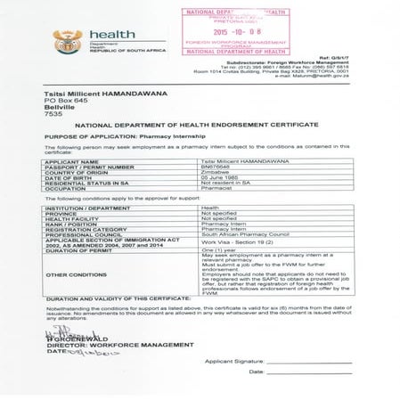Ms TM Hamandawana - Foreign workforce | PDF