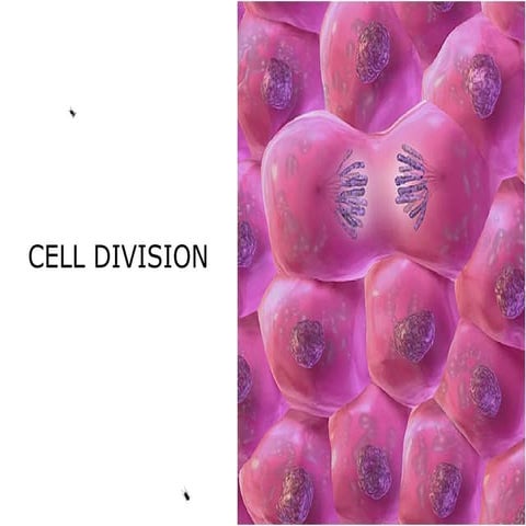 06 cell division | PPT