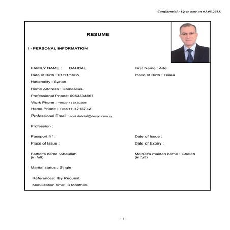DEZPC ADEL CV english 2015 | PDF