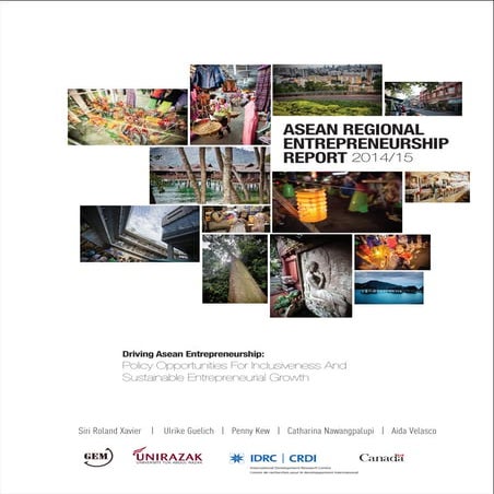 2. Promoting Entrepreneurship In Developing Countries By Alejandro | PDF