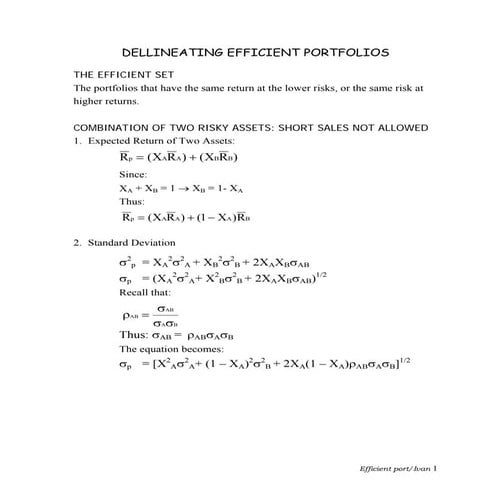Delineating Efficient Portfolio | PDF