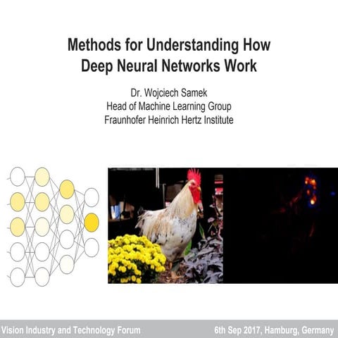 "Methods for Understanding How Deep Neural Networks Work," a ...