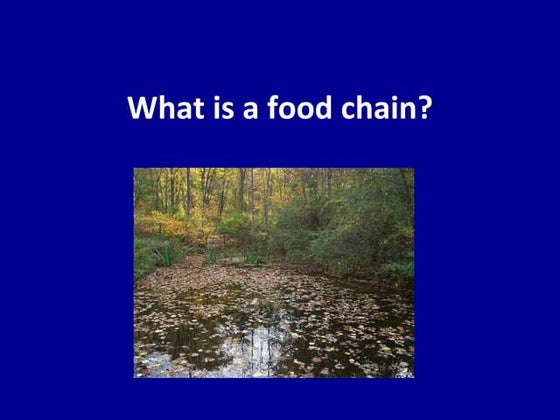 FOOD CHAINS UNIT 3 YEAR 3 | PPTX | Food & Drink
