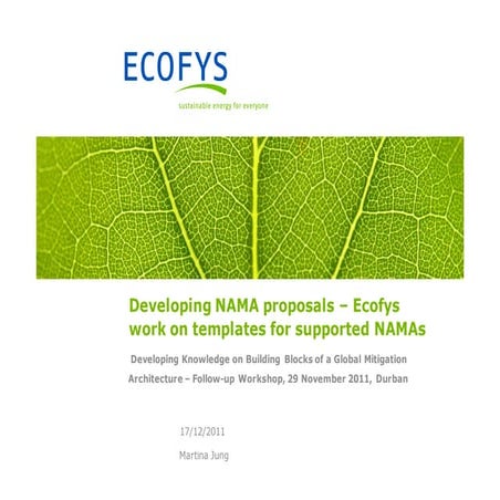 Developing NAMA proposals - Ecofys work on templates for supported ...