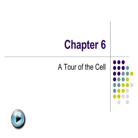 A Tour of The Cell | PPT