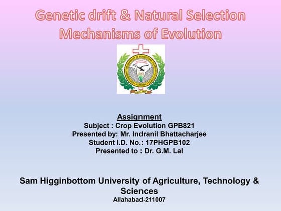 Genetic variation vs environmental variation | PPTX | Genetics | Science