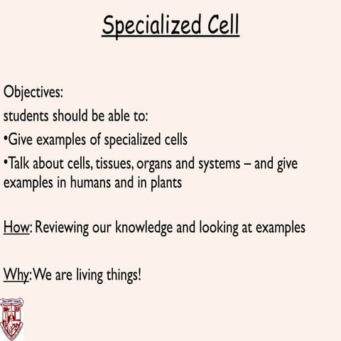 Specialized Cells, Biology | PPTX