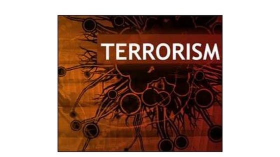 Ppt on terrorism | PPTX