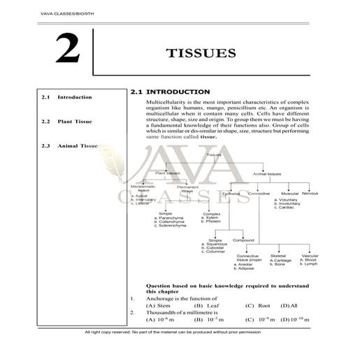 Tissues class 9 pdf notes-Chapter 6-NCERT Solutions | PDF
