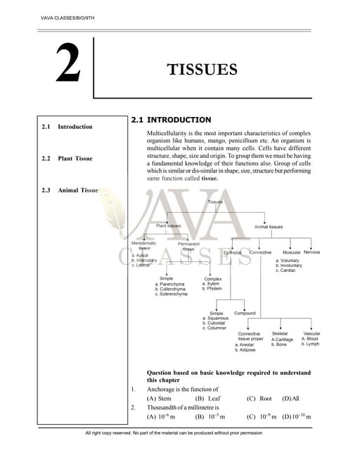 types of animal tissues class 9 | PPTX | Bone and Joint Conditions | Diseases and Conditions