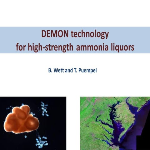 Wett and Puempel DEMON technology | PDF