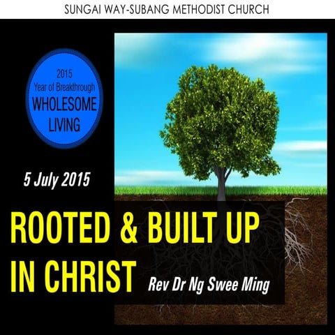 07 05 col 2 1-7 rooted & built up in christ | PDF