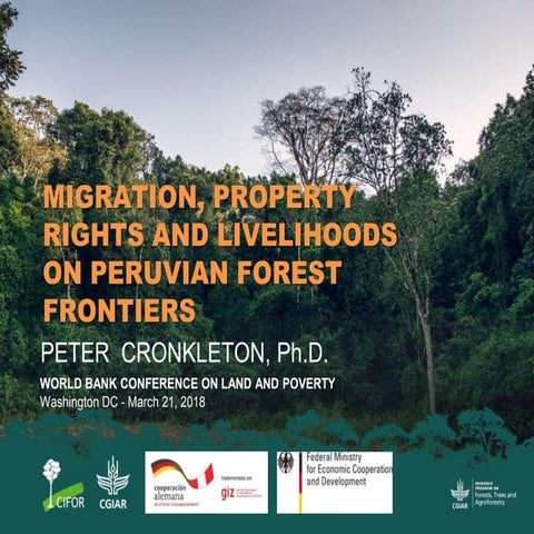 Migration, property rights and livelihoods on Peruvian forest frontiers ...