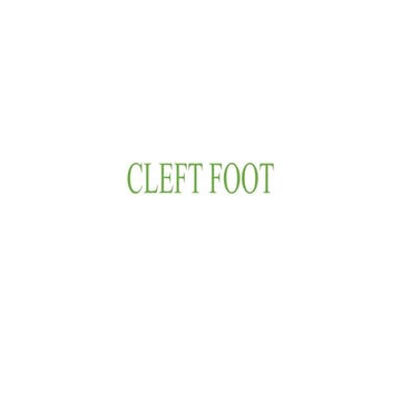 07. FOOT AND ANKLE - CLEFT FOOT.pptx ort | PPTX
