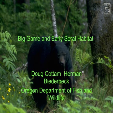 Doug Cottam - Big Game in Early Seral Forests | PPT