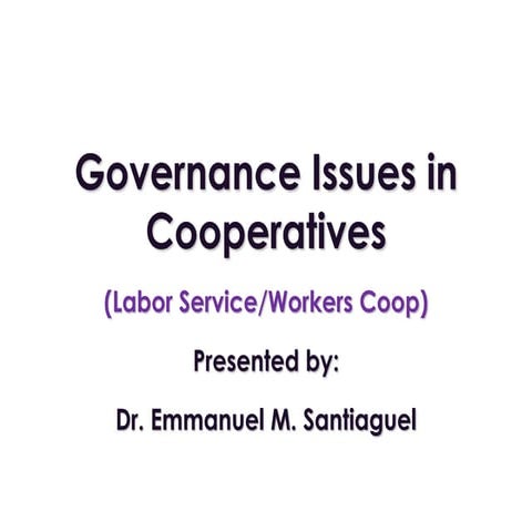 07-Governance-Issues.pdf