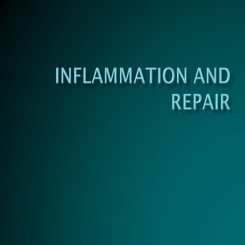 Inflammation Decoded: From Acute Immune Response to Chronic Disease ...