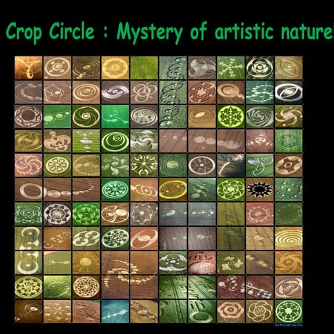 Crop Circle | PPT