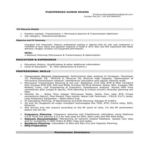 Pushpendra_Dhama_CV | DOC