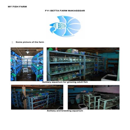 MY FISH FARM | PDF