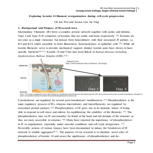 SSEF Report 5 | DOCX