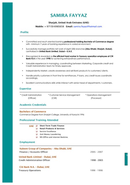 Ayman saeed cv | PDF