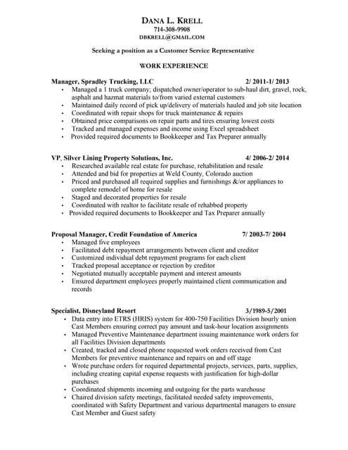 LEVIS RESUME | DOC | Logistics | Business