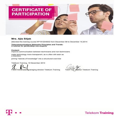 AJLA_SILJAK_KP19120_0002 | PDF