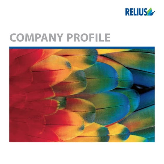 ReflexSystems folder vis | PPT