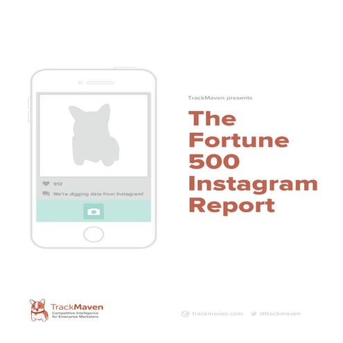 Instagram Report | PDF