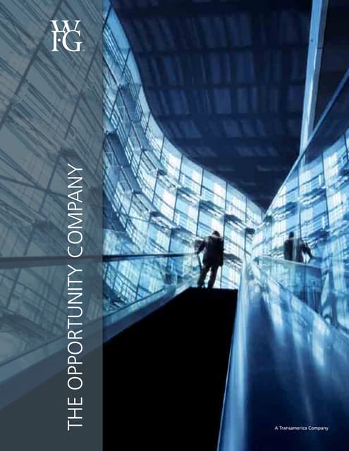 WFG Promo guideline | PDF