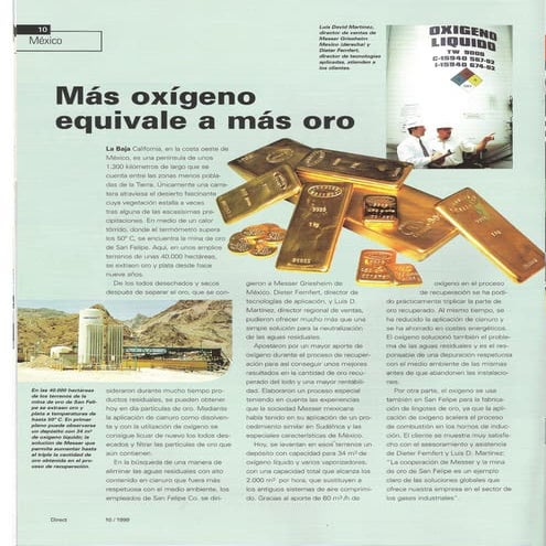 Gold Leach Job | PDF