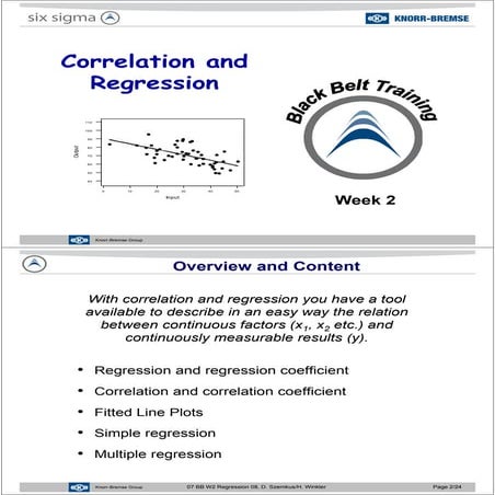 Javier Garcia - Verdugo Sanchez - Six Sigma Training - W2 Correlation ...