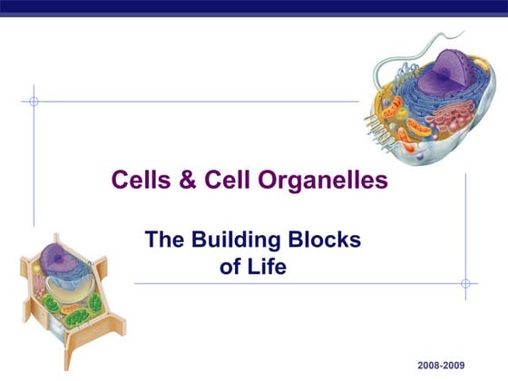Cell Analogy Example | PPTX