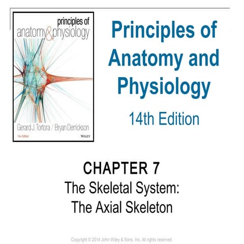 07 [chapter 7 the skeletal system the axial skeleton] | PPT