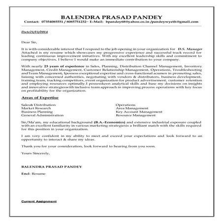 Balendra Prasad Pandey Resume | DOCX | Business Administration | Business