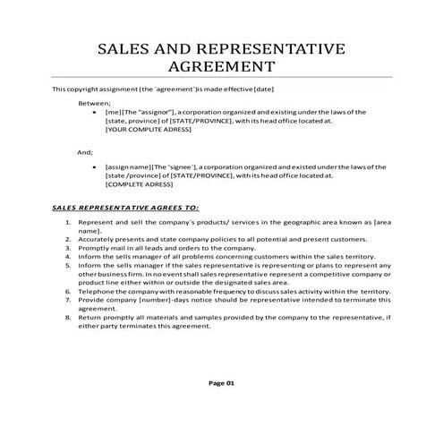 SALES AND REPRESENTATIVE AGREEMENT | DOCX